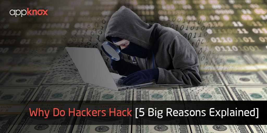 Why Do Hackers Hack [5 Big Reasons Explained]